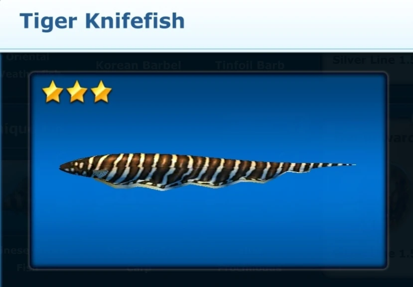 Tiger Knifefish | Ace Fishing Wiki | Fandom