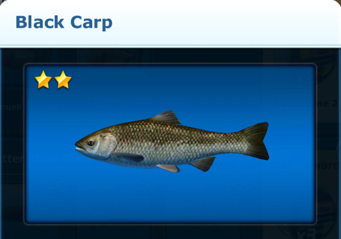Black Carp | Ace Fishing Wiki | Fandom