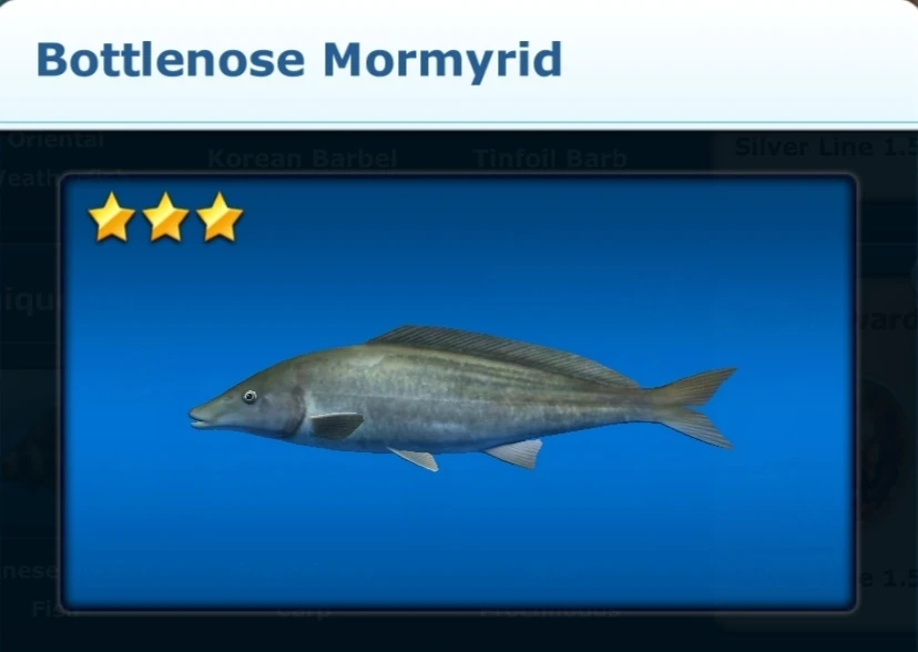 Bottlenose Mormyrid | Ace Fishing Wiki | Fandom