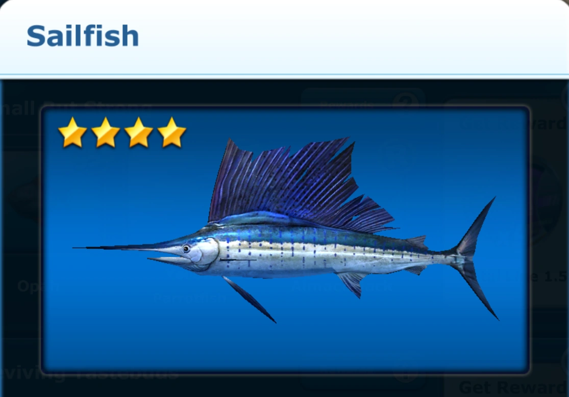 Sailfish | Ace Fishing Wiki | Fandom