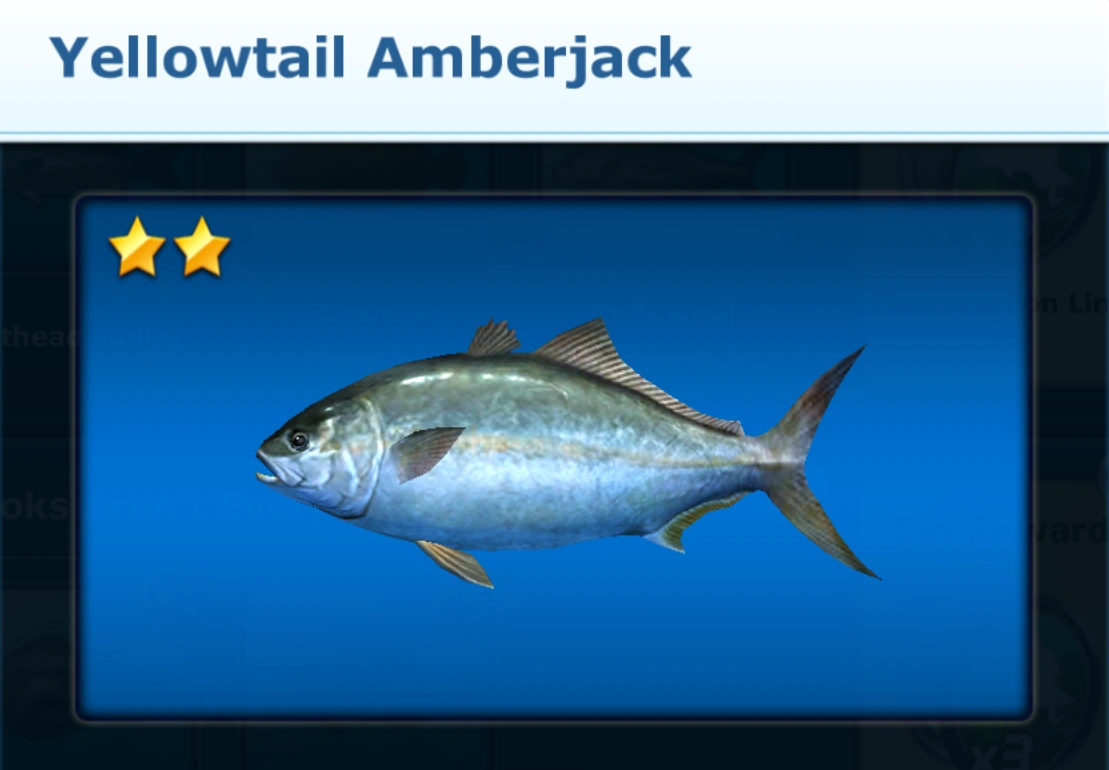 Yellowtail Amberjack