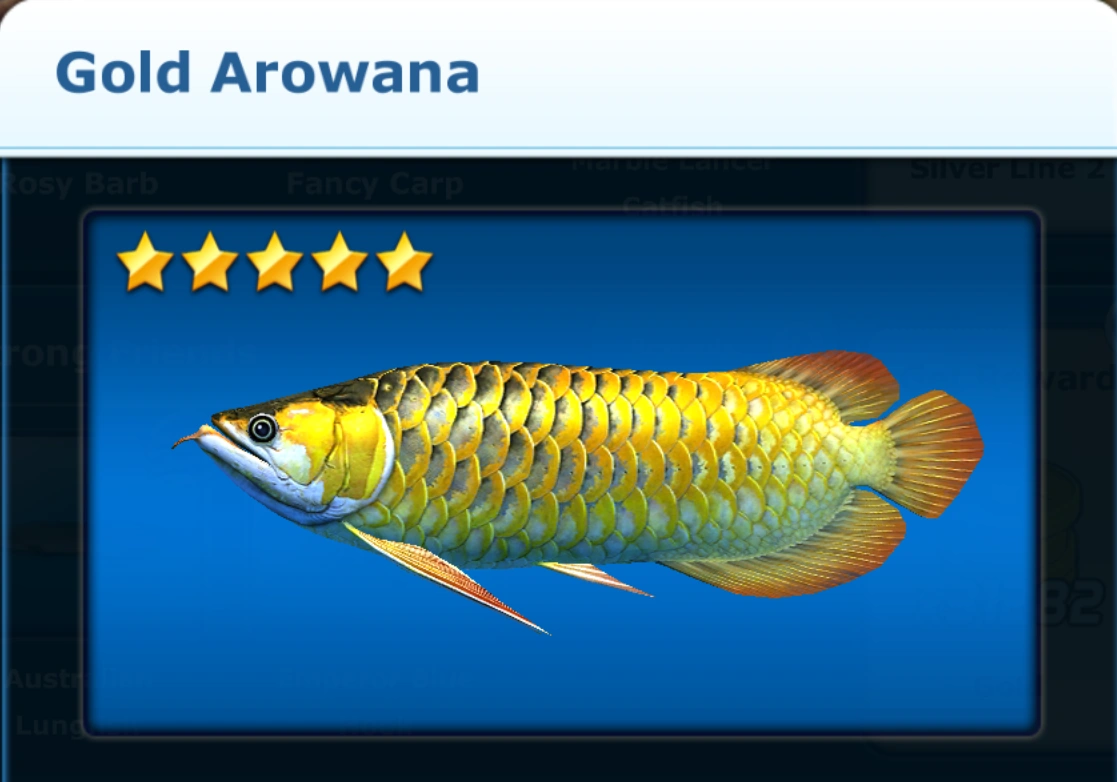 Gold Arowana