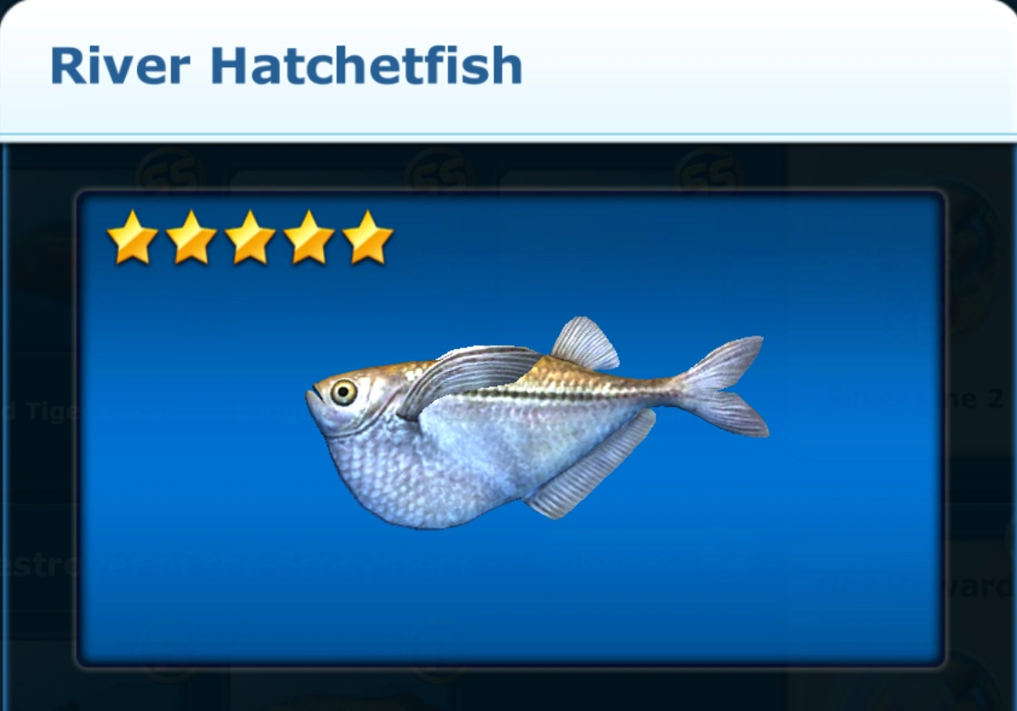 River Hatchetfish | Ace Fishing Wiki | Fandom