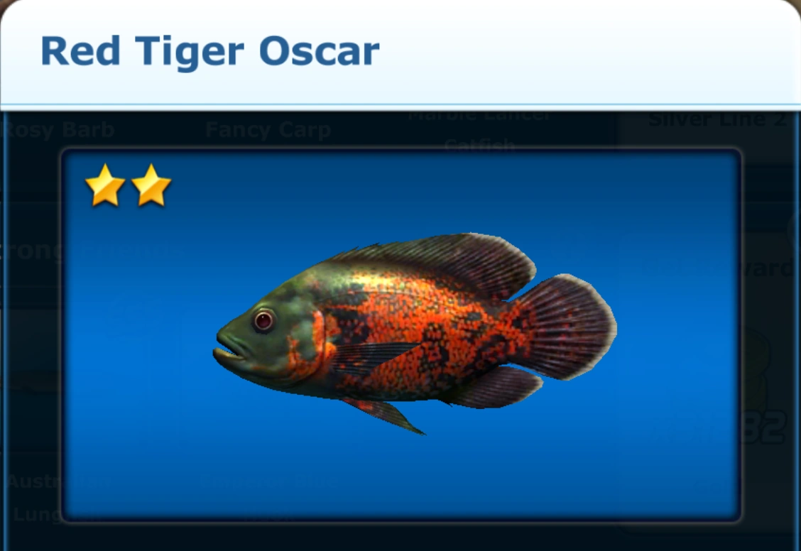 Red Tiger Oscar | Ace Fishing Wiki | Fandom