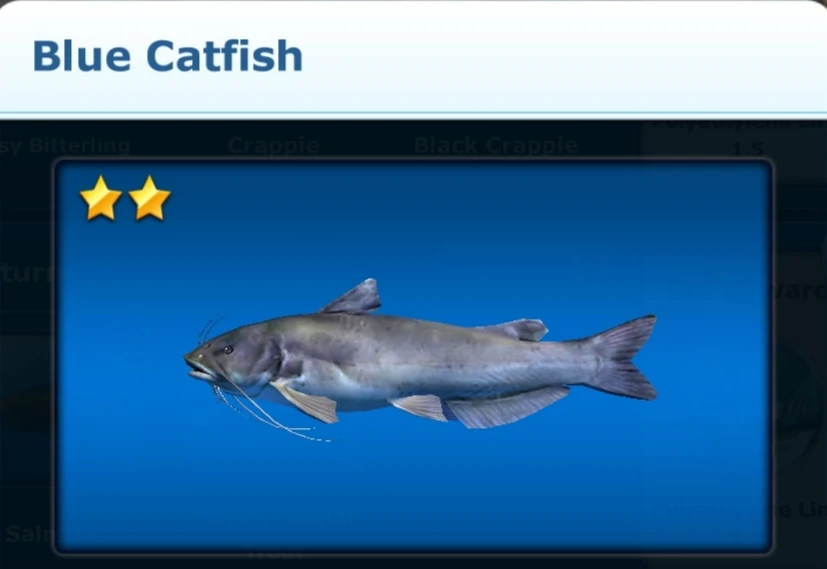 Blue Catfish | Ace Fishing Wiki | Fandom