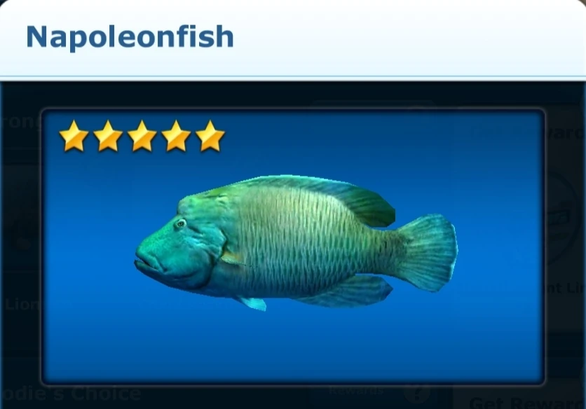 Napoleonfish | Ace Fishing Wiki | Fandom
