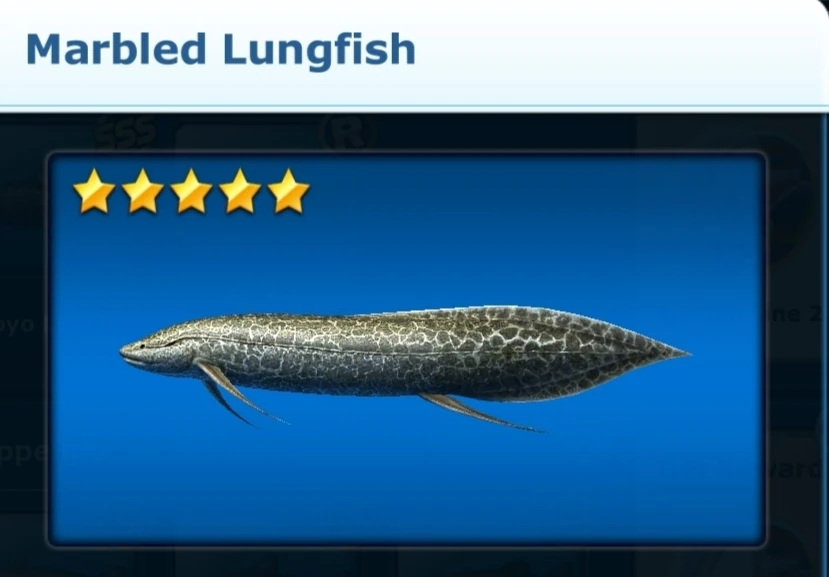 Marbled Lungfish | Ace Fishing Wiki | Fandom