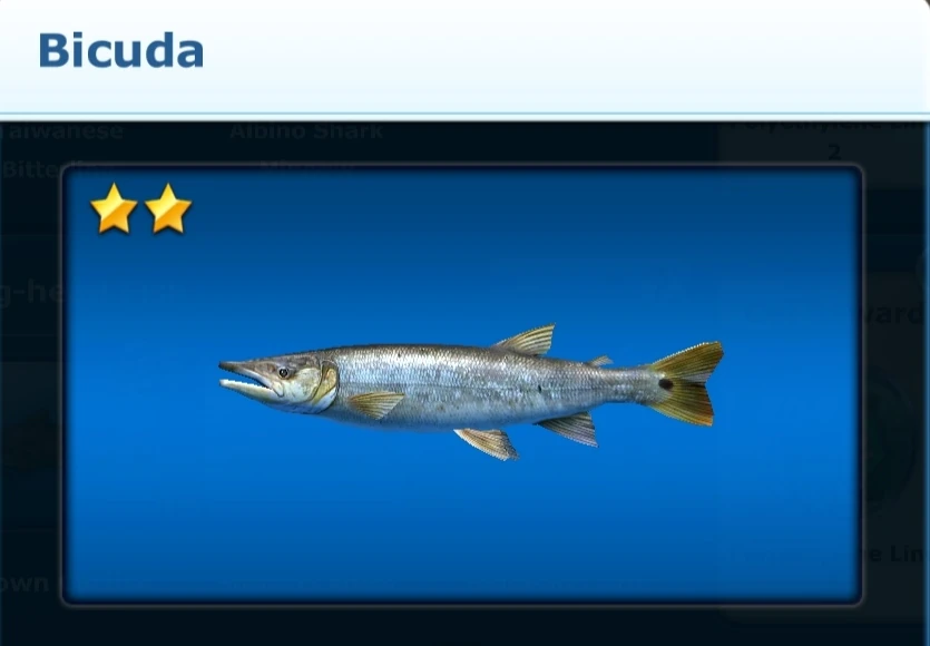 Bicuda | Ace Fishing Wiki | Fandom