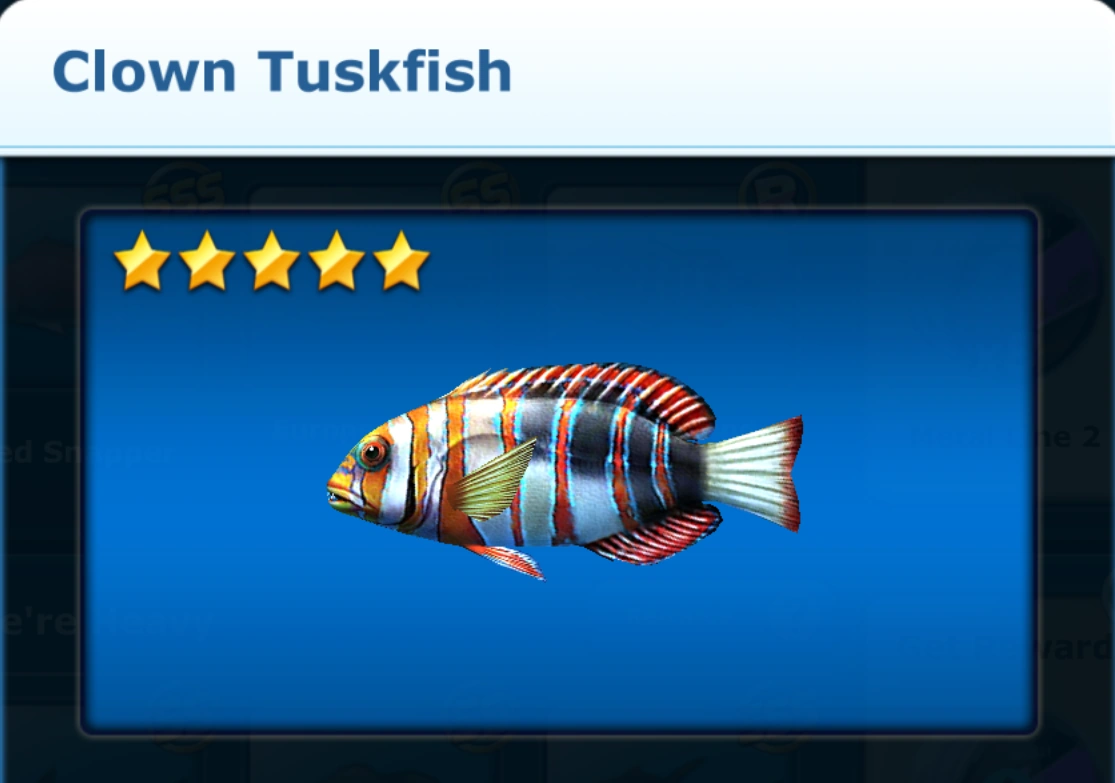 Clown Tuskfish | Ace Fishing Wiki | Fandom
