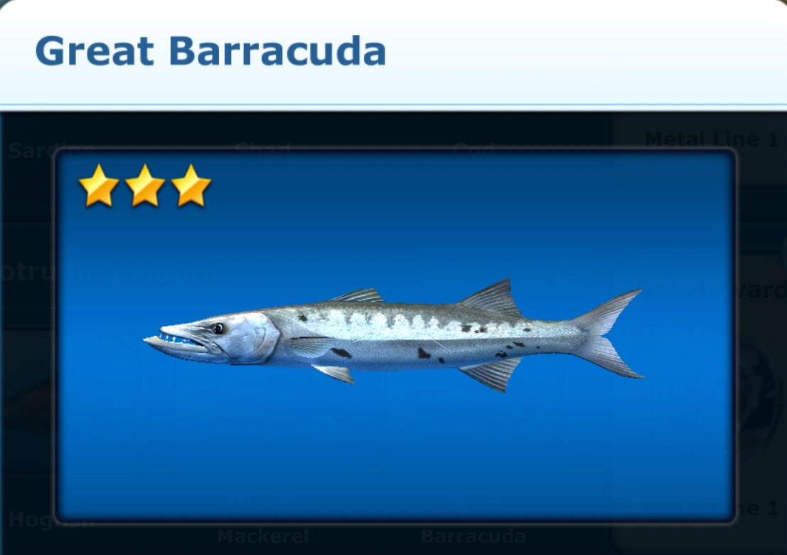 Great Barracuda | Ace Fishing Wiki | Fandom