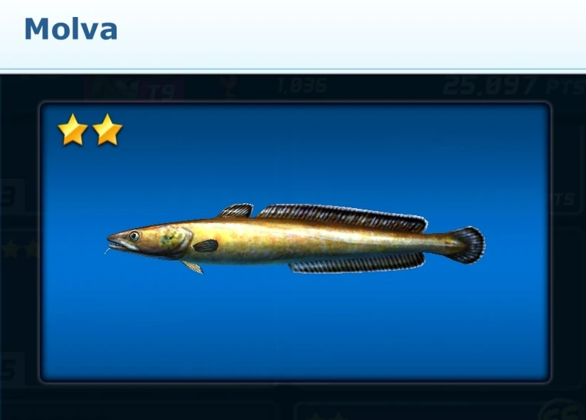 Molva | Ace Fishing Wiki | Fandom