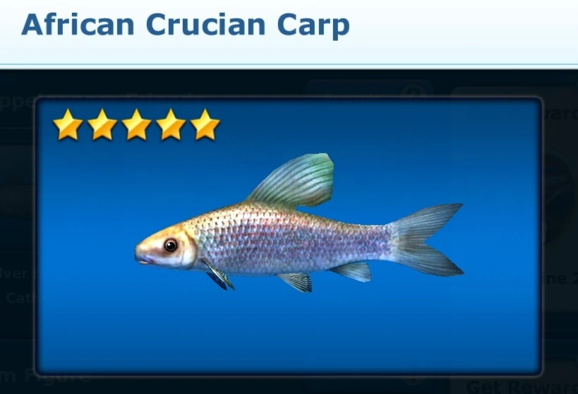 African Crucian Carp | Ace Fishing Wiki | Fandom