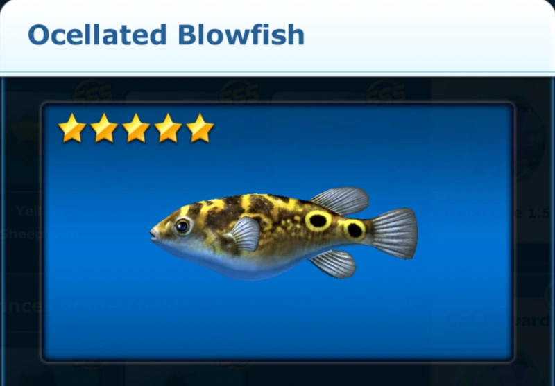 Ocellated Blowfish | Ace Fishing Wiki | Fandom