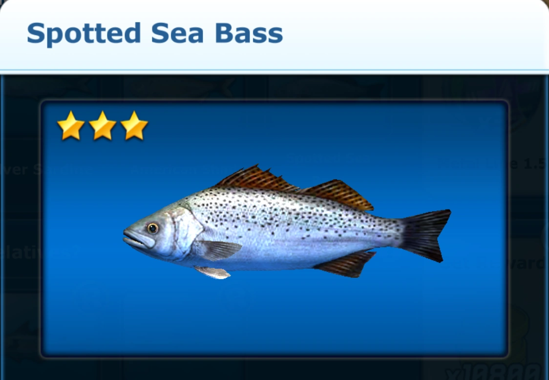 Spotted Sea Bass | Ace Fishing Wiki | Fandom