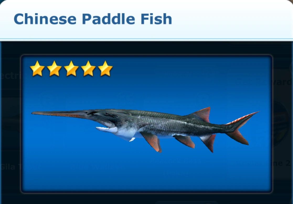 Chinese Paddle Fish | Ace Fishing Wiki | Fandom
