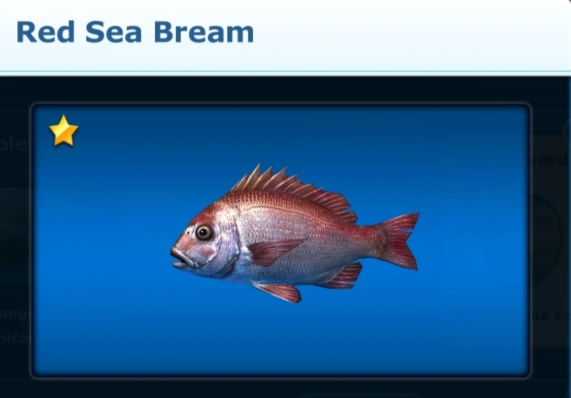 Red Sea Bream | Ace Fishing Wiki | Fandom