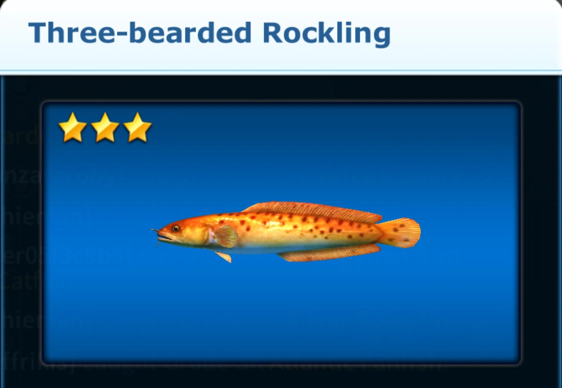 Three-bearded Rockling | Ace Fishing Wiki | Fandom