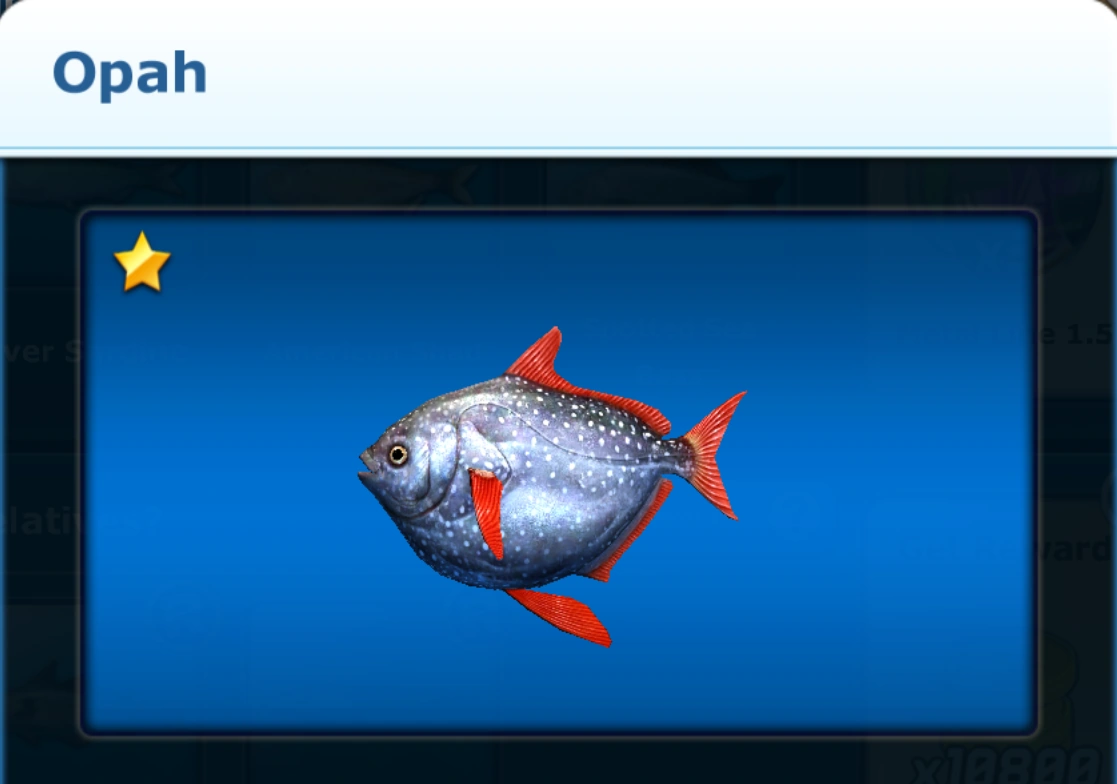 Opah | Ace Fishing Wiki | Fandom