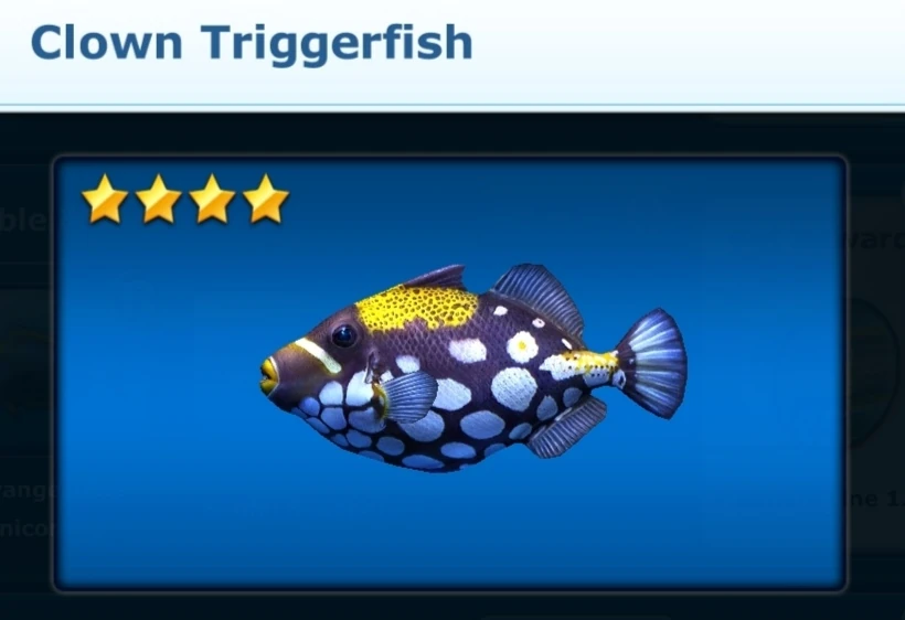 Clown Triggerfish | Ace Fishing Wiki | Fandom