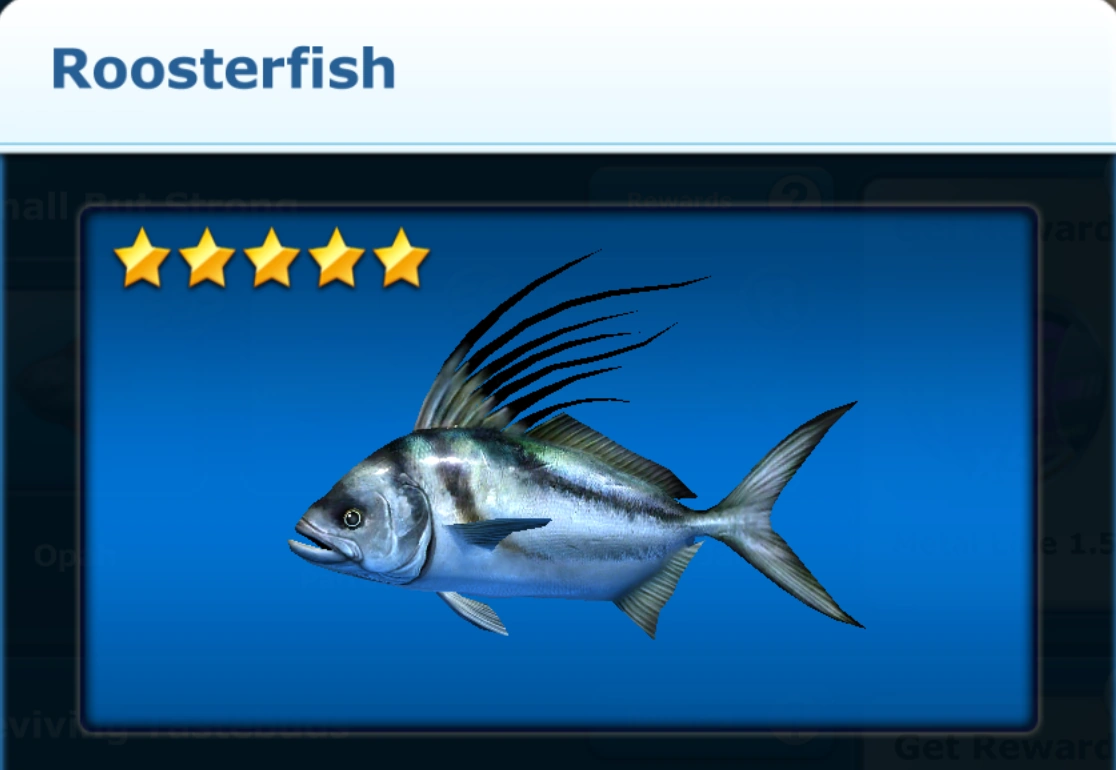 Roosterfish | Ace Fishing Wiki | Fandom
