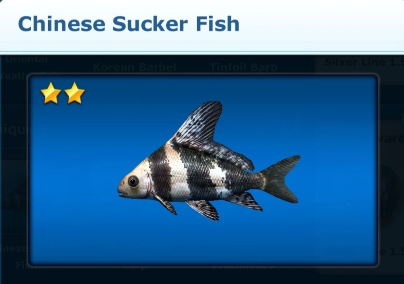 Chinese Sucker Fish | Ace Fishing Wiki | Fandom