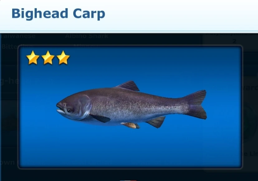 Bighead Carp | Ace Fishing Wiki | Fandom