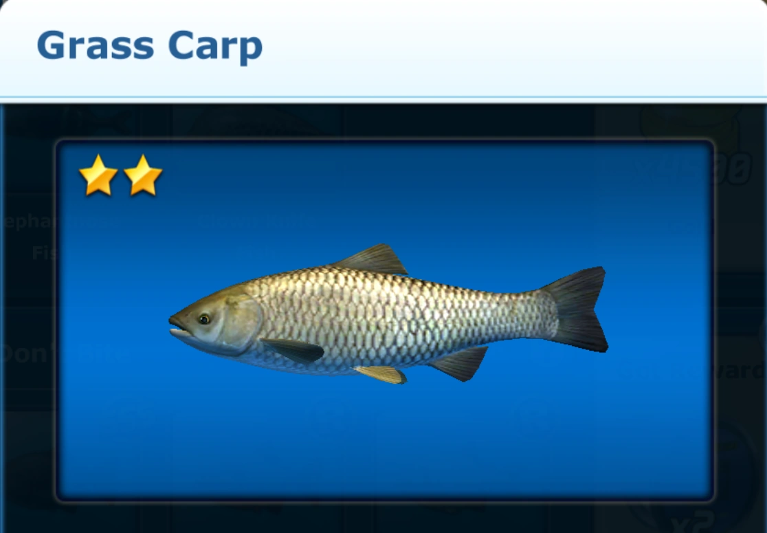 Grass Carp | Ace Fishing Wiki | Fandom