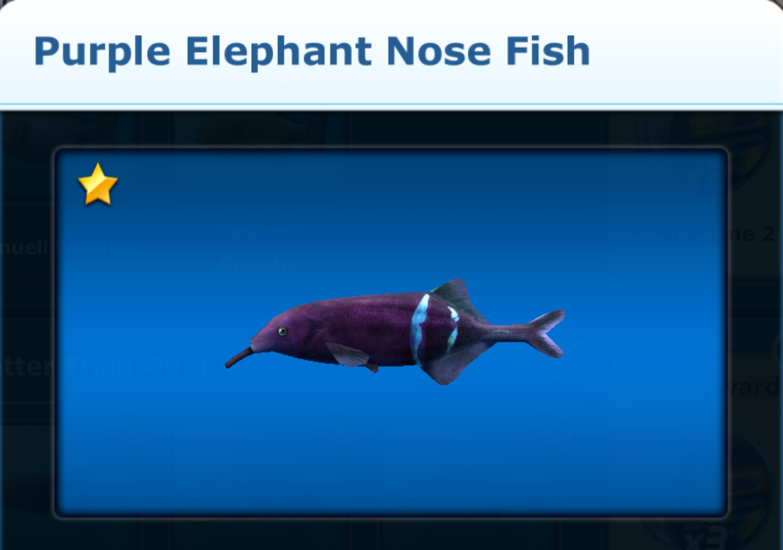 Purple Elephantnose Fish | Ace Fishing Wiki | Fandom