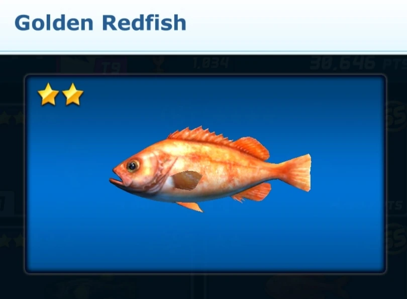 Golden Redfish | Ace Fishing Wiki | Fandom