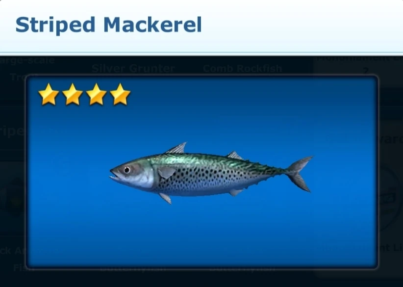 Striped Mackerel | Ace Fishing Wiki | Fandom