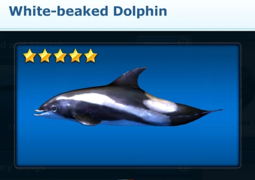 White-beaked Dolphin | Ace Fishing Wiki | Fandom