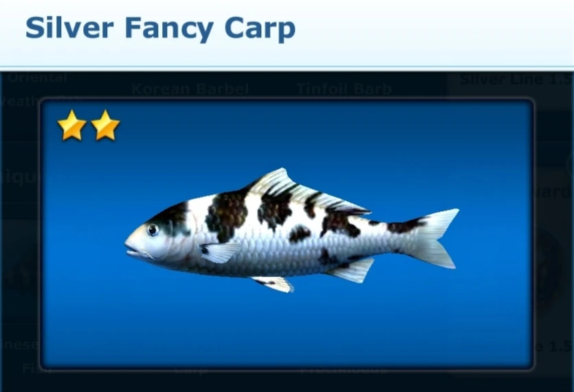 Silver Fancy Carp | Ace Fishing Wiki | Fandom