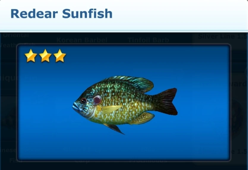 Redear Sunfish | Ace Fishing Wiki | Fandom