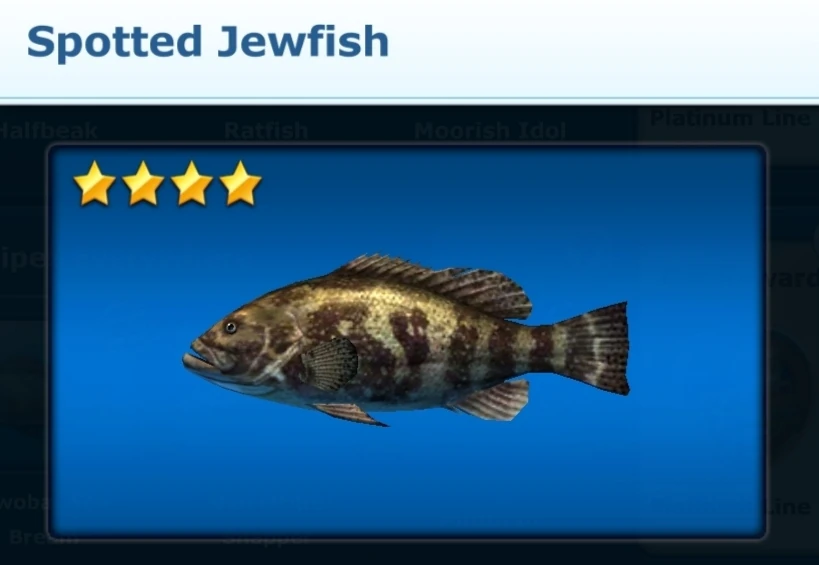Spotted Jewfish | Ace Fishing Wiki | Fandom