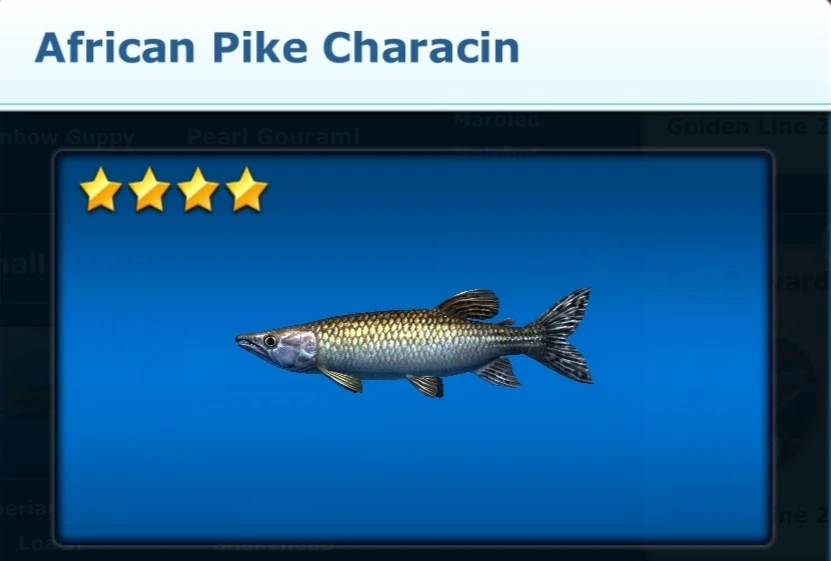 African Pike Characin | Ace Fishing Wiki | Fandom