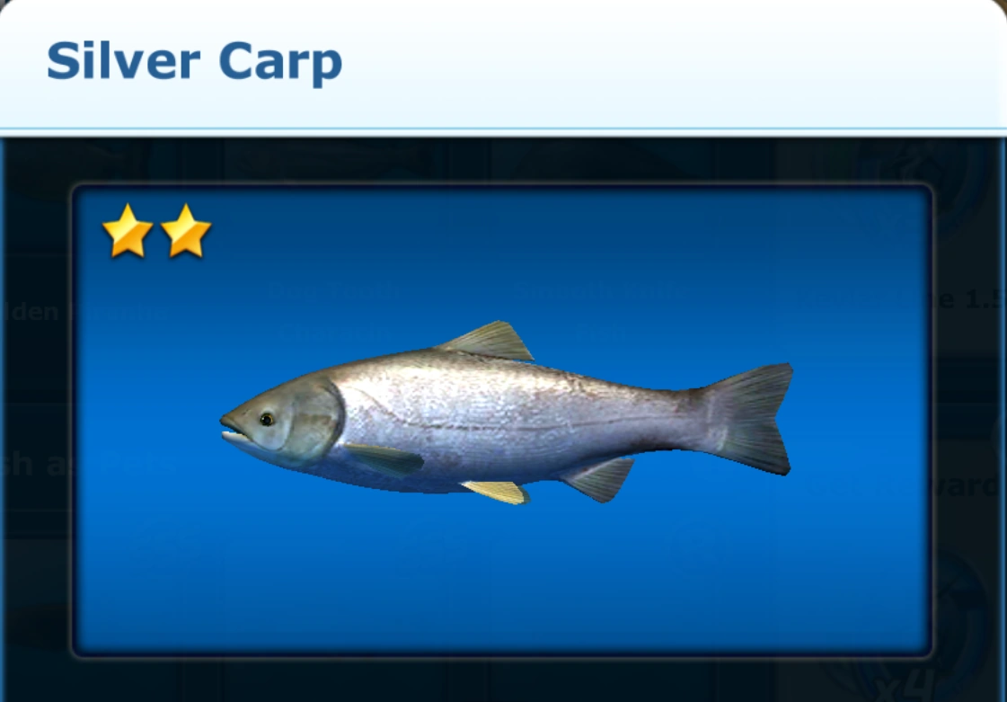 Silver Carp | Ace Fishing Wiki | Fandom
