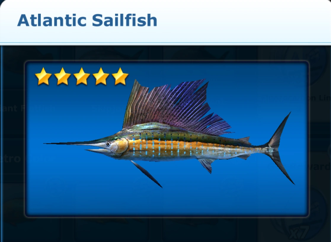 Atlantic Sailfish | Ace Fishing Wiki | Fandom