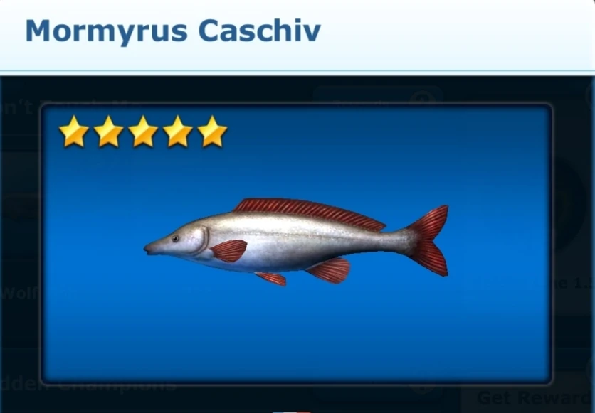 Mormyrus Caschiv | Ace Fishing Wiki | Fandom