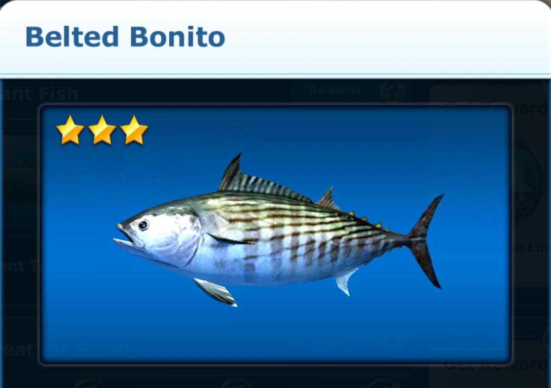 Belted Bonito | Ace Fishing Wiki | Fandom