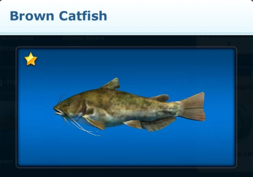 Brown Catfish | Ace Fishing Wiki | Fandom