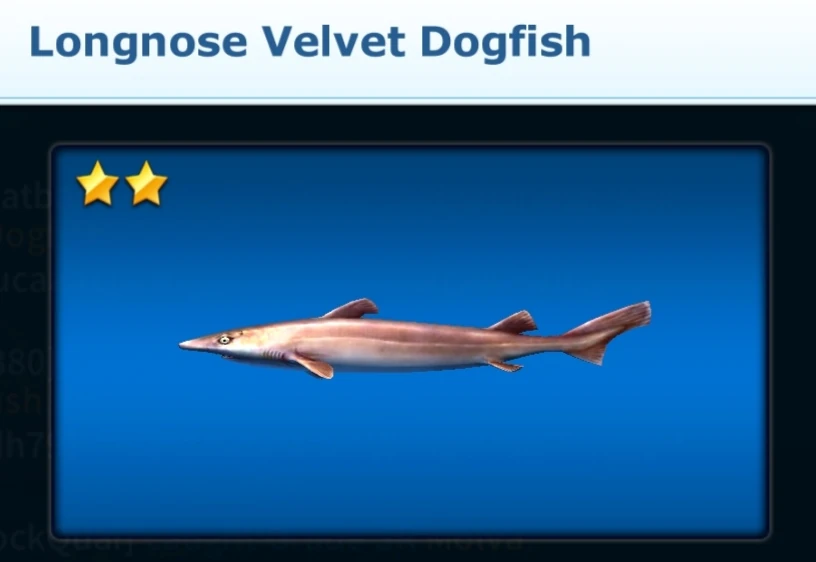Longnose Velvet Dogfish | Ace Fishing Wiki | Fandom