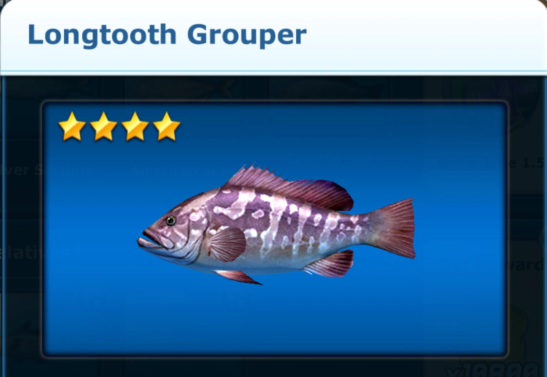 Longtooth Grouper | Ace Fishing Wiki | Fandom