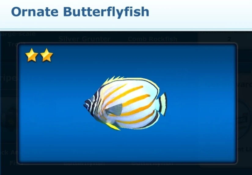 Ornate Butterflyfish | Ace Fishing Wiki | Fandom