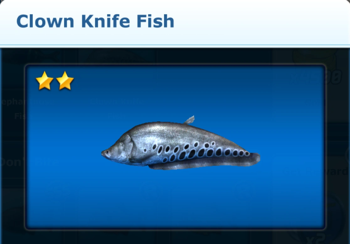 Clown Knife Fish | Ace Fishing Wiki | Fandom