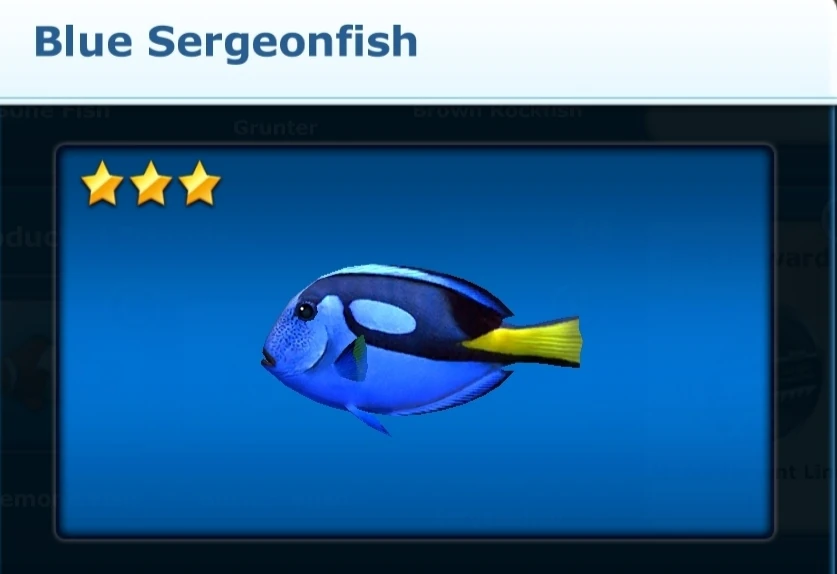 Blue Sergeonfish | Ace Fishing Wiki | Fandom
