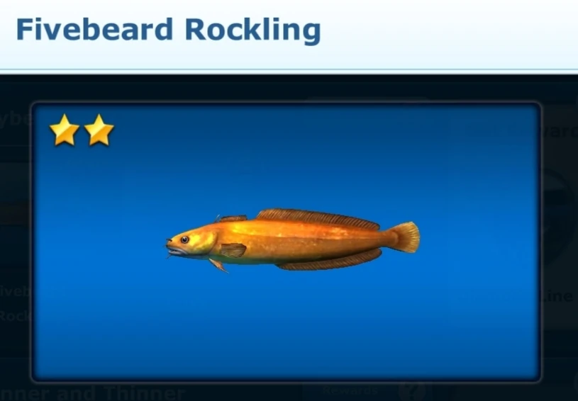 Fivebeard Rockling | Ace Fishing Wiki | Fandom
