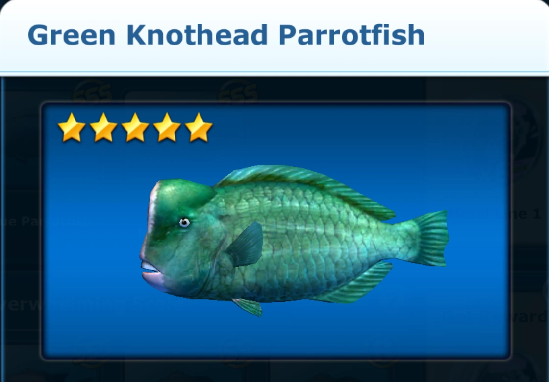 Green Knothead Parrotfish | Ace Fishing Wiki | Fandom