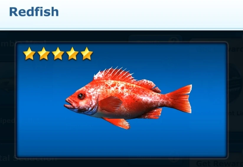 Redfish | Ace Fishing Wiki | Fandom