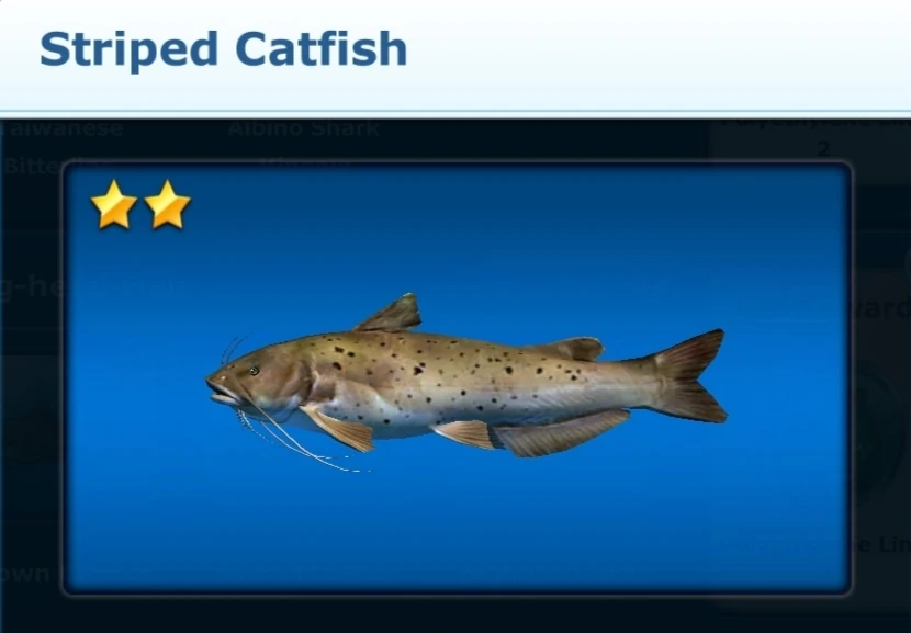 Striped Catfish | Ace Fishing Wiki | Fandom