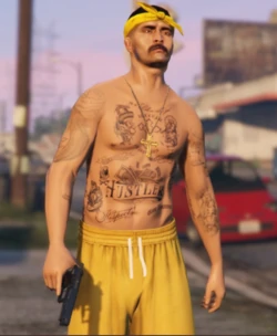 Arush Patel Santana | AceRP Wiki | Fandom